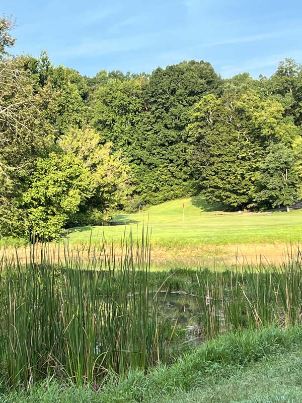 Photo Gallery - Mouse Creek Golf Course