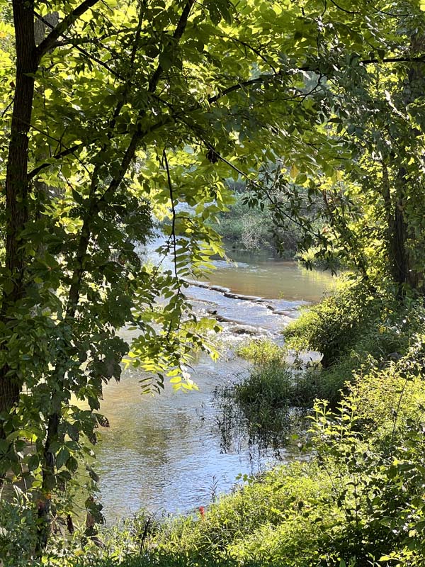 Photo Gallery - Mouse Creek Golf Course